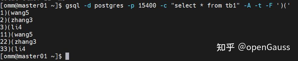 详解openGauss客户端工具gsql的高级用法 - 知乎