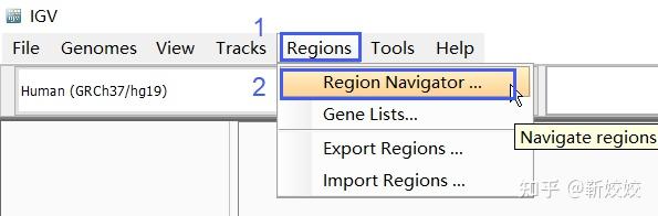 IGV快速上手指南（二）——查看靶向捕获测序数据及探针文件 - 知乎