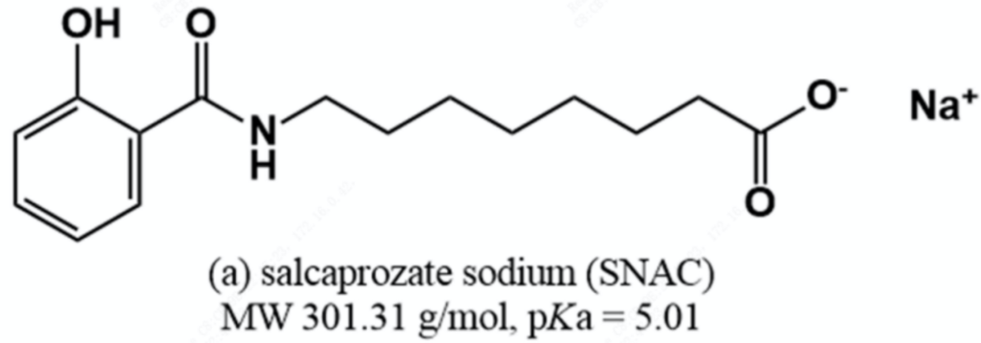 SNAC or Snack?口服GLP-1递送系统的麦加朝圣之路 - 知乎