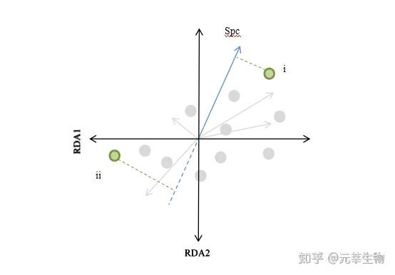 环境因子与微生物群落的关联方法之RDA/CCA分析 - 知乎