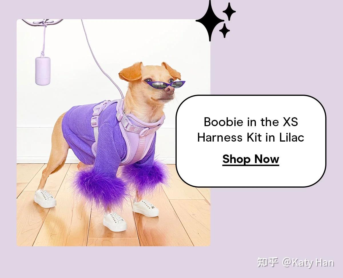 DTC宠物品牌Wild One是如何打造愉悦的爱宠体验的？ - 知乎