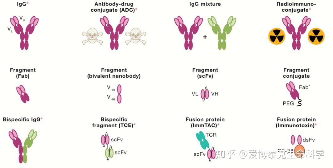 Cell重磅综述：治疗性抗体的最新研究进展汇总 - 知乎