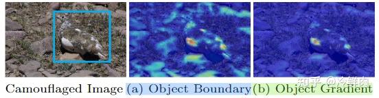 【DGNet】Deep Gradient Learning for Efficient Camouflaged Object Detection - 知乎