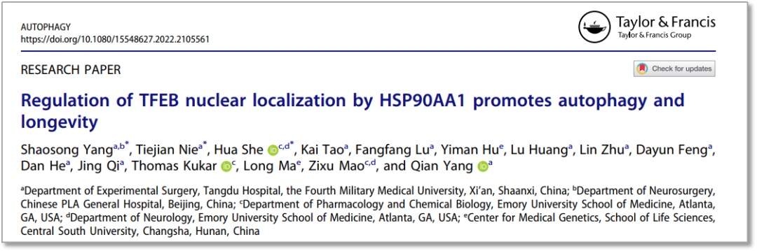 Autophagy︱杨倩课题组揭示转录因子TFEB入核调控新机制 - 知乎