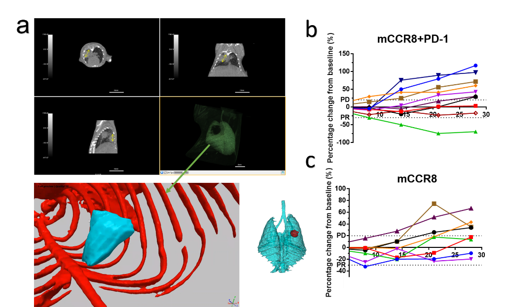药效纵向研究新利器？Micro-CT影像技术在药物临床前小鼠药效模型上的应用 - 知乎