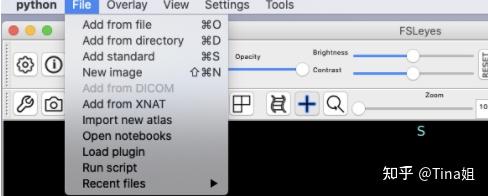 fsleyes -- 一款多功能影像数据查看器 - 知乎