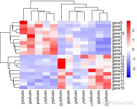 使用pheatmap包绘制热图 - 知乎