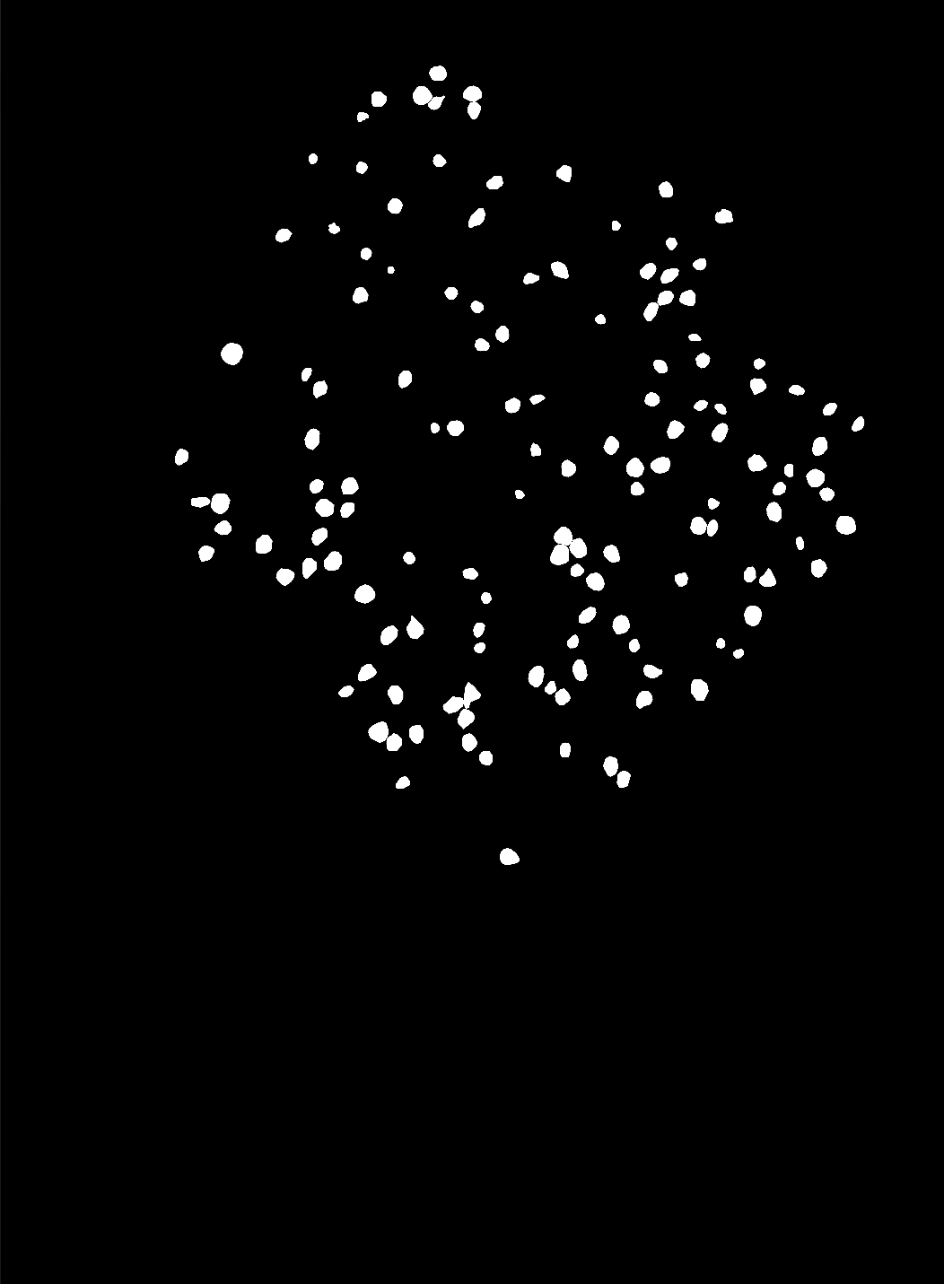 HuBMAP 数据集介绍 - 知乎