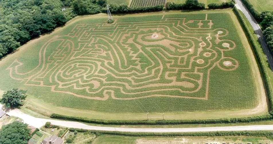 放开想象，原来亲子迷宫可以这样设计？ - 知乎