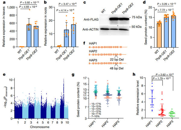 从Nature文章开始了解高蛋白基因 - 知乎