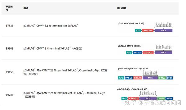 默克Sigma实验 | 用于超灵敏检测重组蛋白的3xFLAG® 系统表达载体 - 知乎