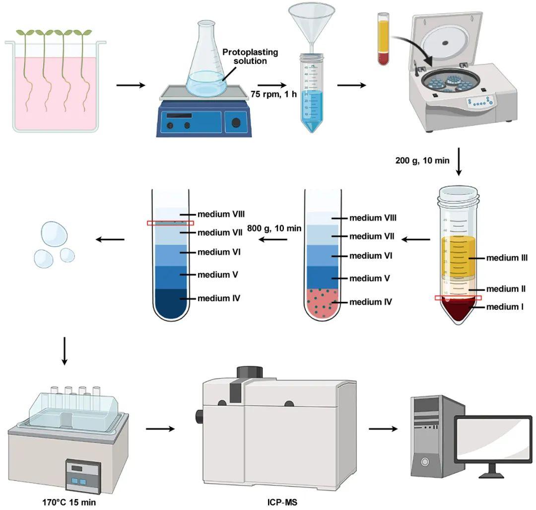 Bio-protocol | 2023年3月5日最新上线实验方案目录 - 知乎
