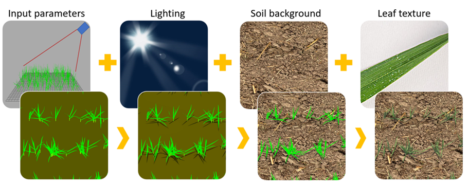 结合域适应和三维植物模型模拟的自监督植物表型:在小麦苗期叶片计数中的应用 - 知乎