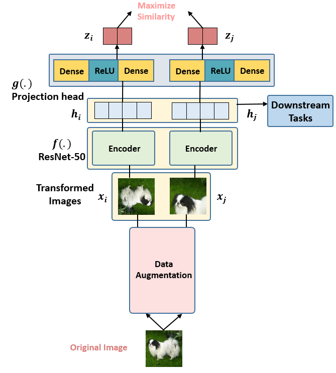 Self-Supervised Learning 超详细解读 (四)：MoCo系列解读 (1) - 知乎