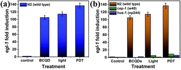 Biomater Sci:西兰花衍生碳量子点的PDT效应在突变秀丽隐杆线虫模型中得到证实 - 知乎