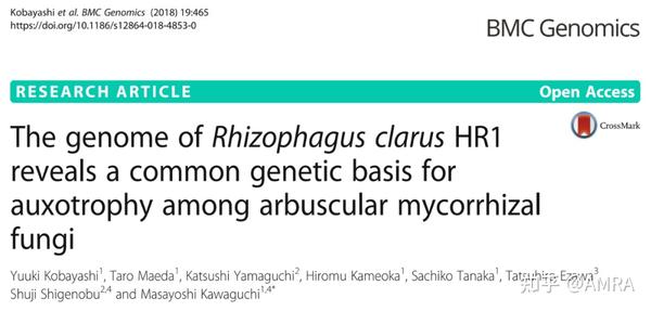 目前最全的丛枝菌根真菌基因组（8个菌种） - 知乎