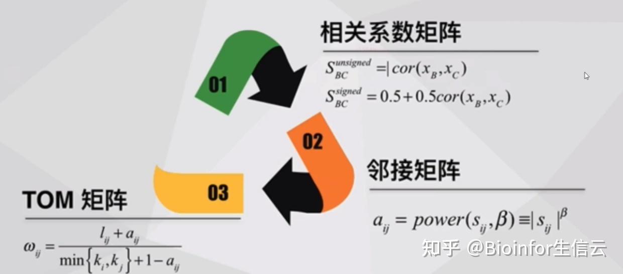 WGCNA的原理和分析步骤 - 知乎