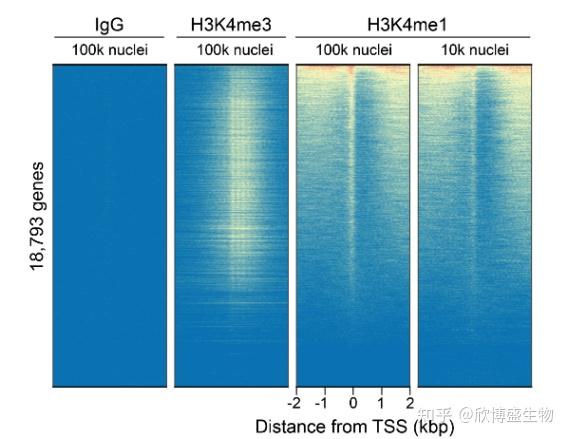 H3K4me1 Antibody—EpiCypher新品 - 知乎