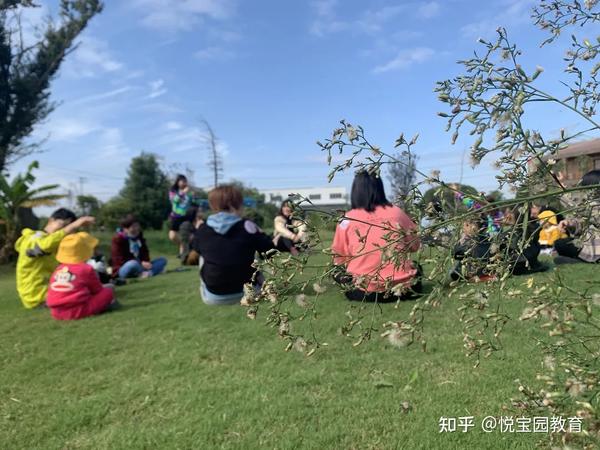 悦宝园主题课程推荐：在农场 |Down on the Farm - 知乎