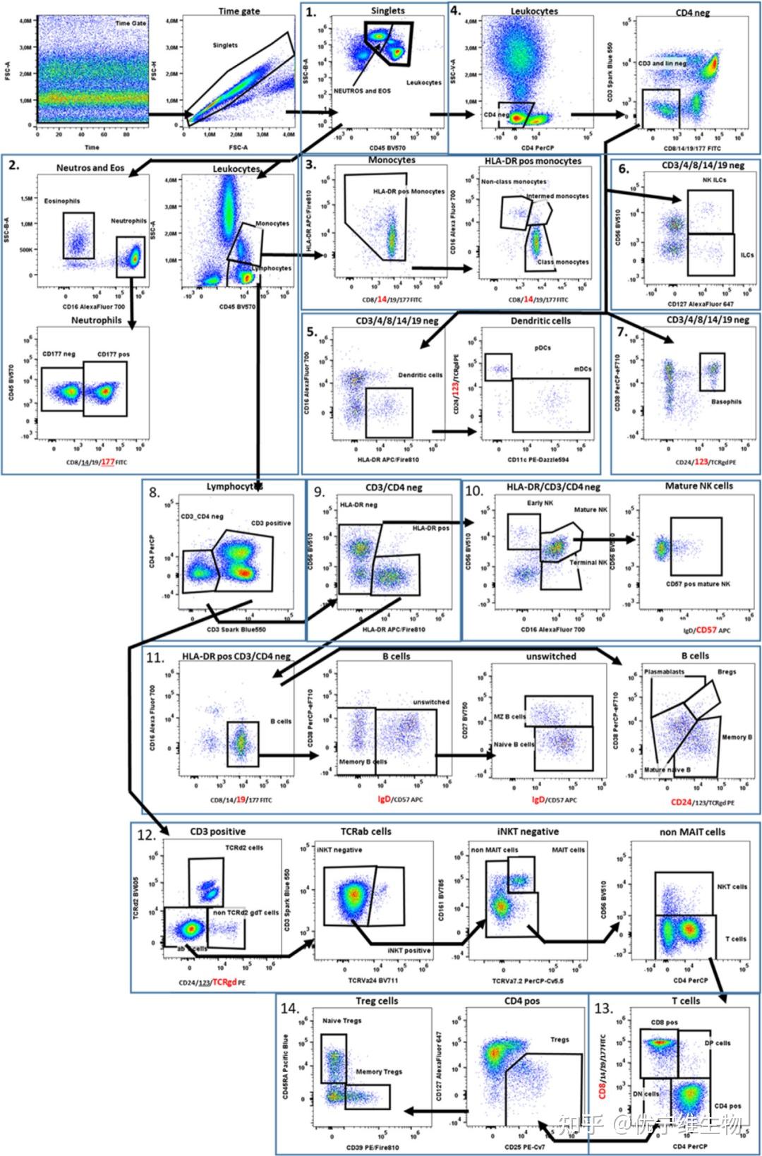 【多色案例】24色多色流式深度检测人外周血免疫细胞免疫分型 - 知乎