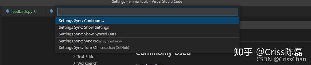 VSCode的同步功能SettingsSync - 知乎