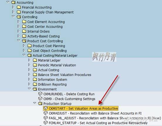 SAP S4激活物料分类账 - 知乎
