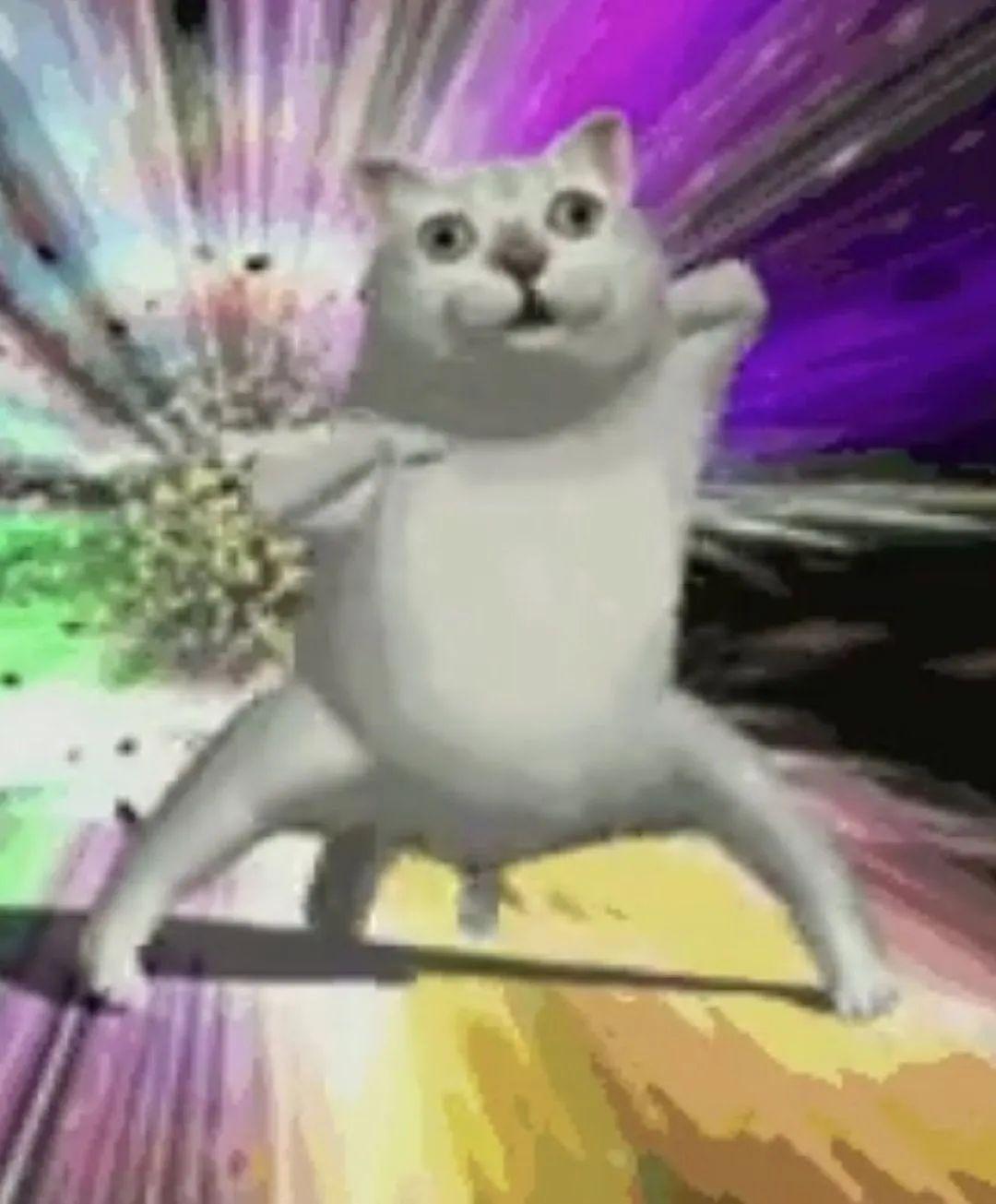 新增mur猫表情包 - 知乎