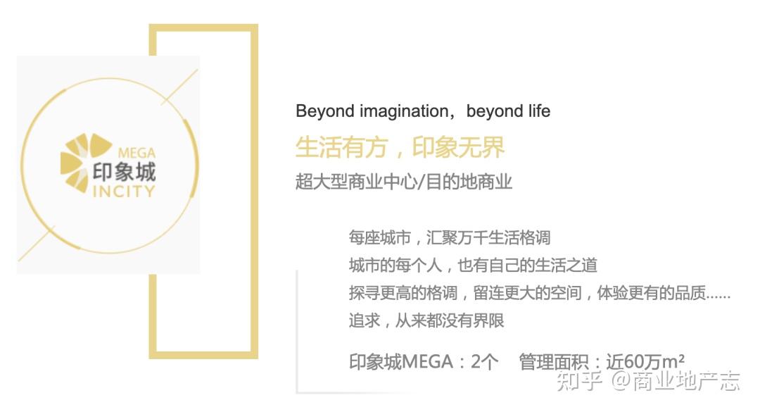 率先走通「不可复制的产品线」这一商业逻辑，印力给出了5个重要启发 - 知乎