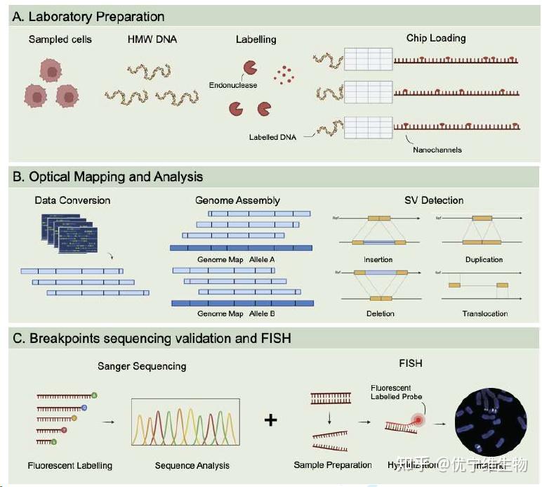 OGM技术临床最新进展发布，看看国内专家怎么说 - 知乎