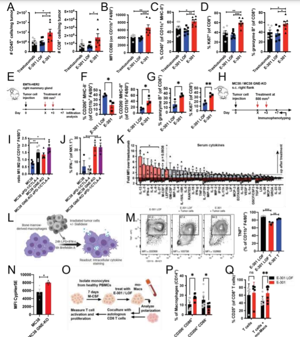 Sci Tra Med | 肿瘤相关巨噬细胞极化可使免疫检查点阻断更有效 - 知乎