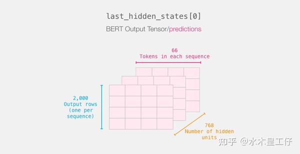 【小白学习笔记】 Pytorch之Bert-文本分类 - 知乎