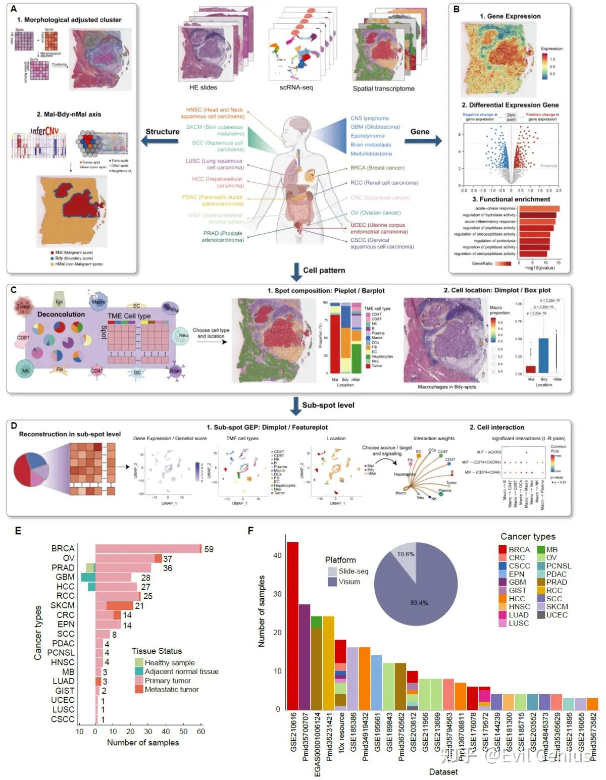 空间数据库SpatialTME与空间主要分析 - 知乎
