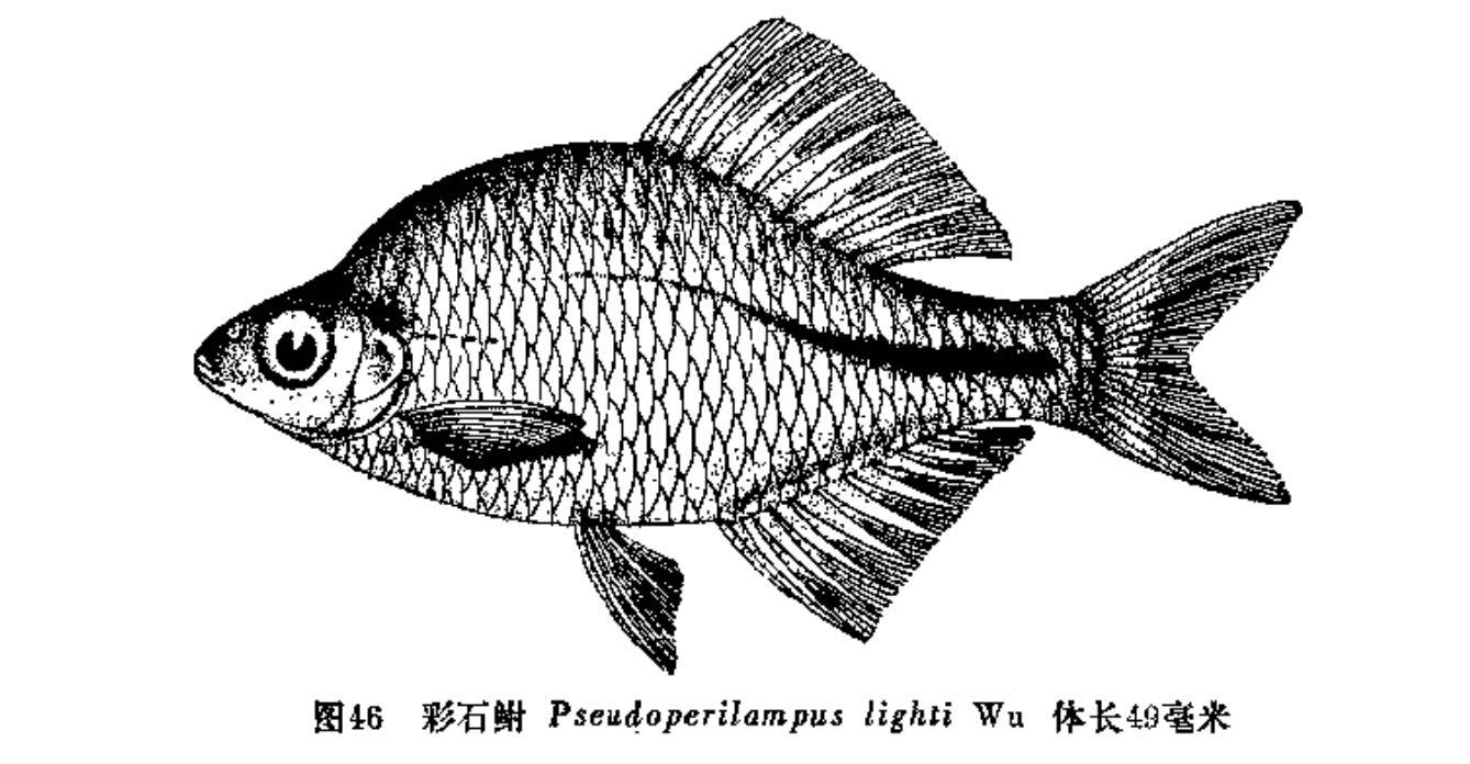 中国原生鱼：北京的鱼类 - 知乎