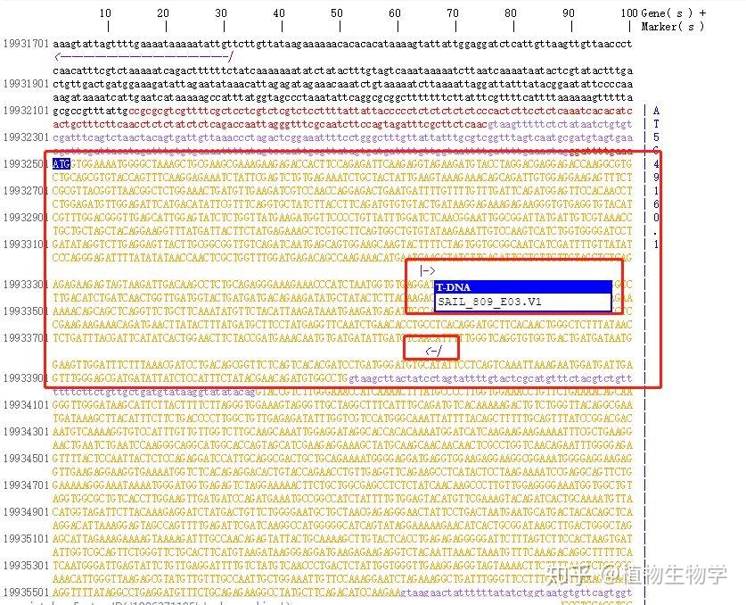 拟南芥种子订购详细攻略-TAIR-ABRC篇 - 知乎