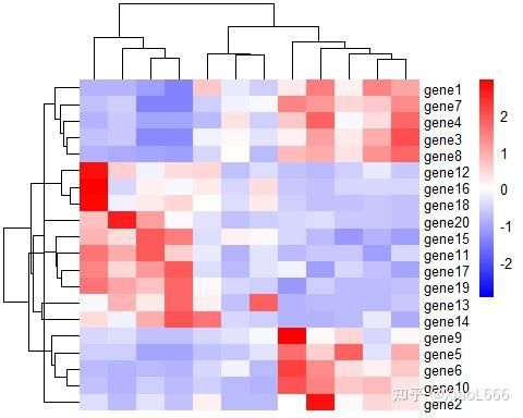 使用pheatmap包绘制热图 - 知乎