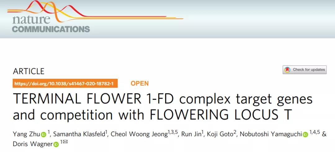 Nature Comm | 朱杨博士等揭示TFL1-FD的靶标基因和FT的竞争机制 - 知乎
