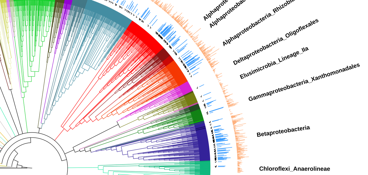 利用SNP数据构建Phylogenetic tree - 知乎