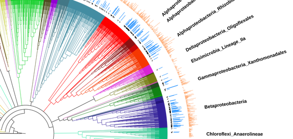 利用SNP数据构建Phylogenetic tree - 知乎