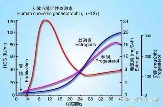 HCG数值变化不定？试管妈妈一定要了解！ - 知乎