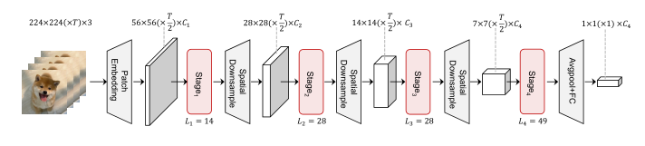 ECCV 2022 | MorphMLP：一种有效的用于视频建模的MLP类架构 - 知乎