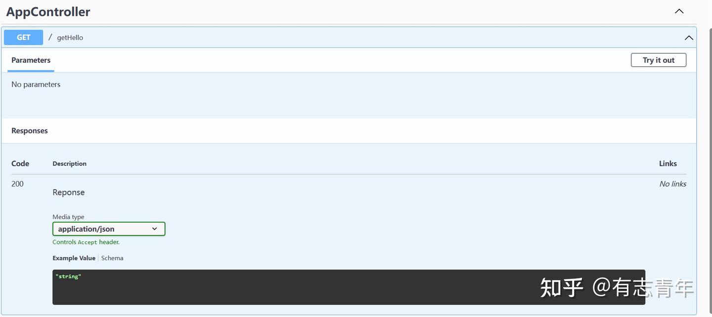 3.NestJs 集成Swagger - 知乎