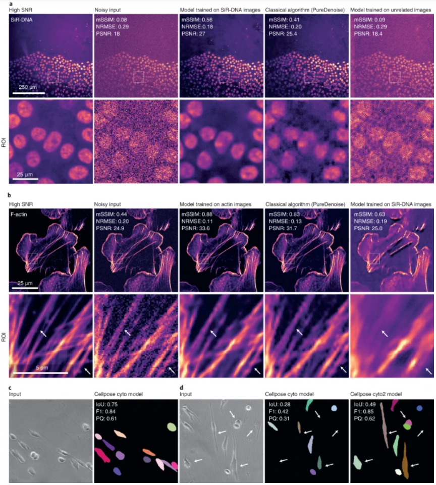 Nat. Methods｜生物成像分析中的注意事项 - 知乎