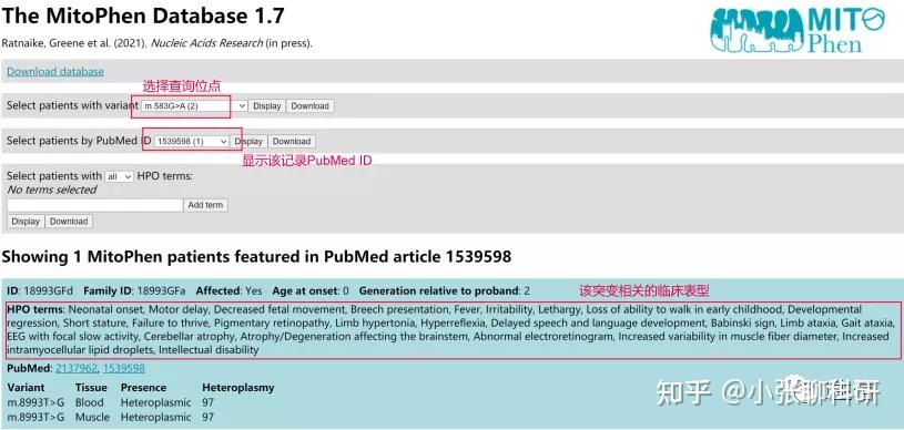 工具篇丨MitoPhen数据库：识别线粒体基因突变相关疾病的表型 - 知乎