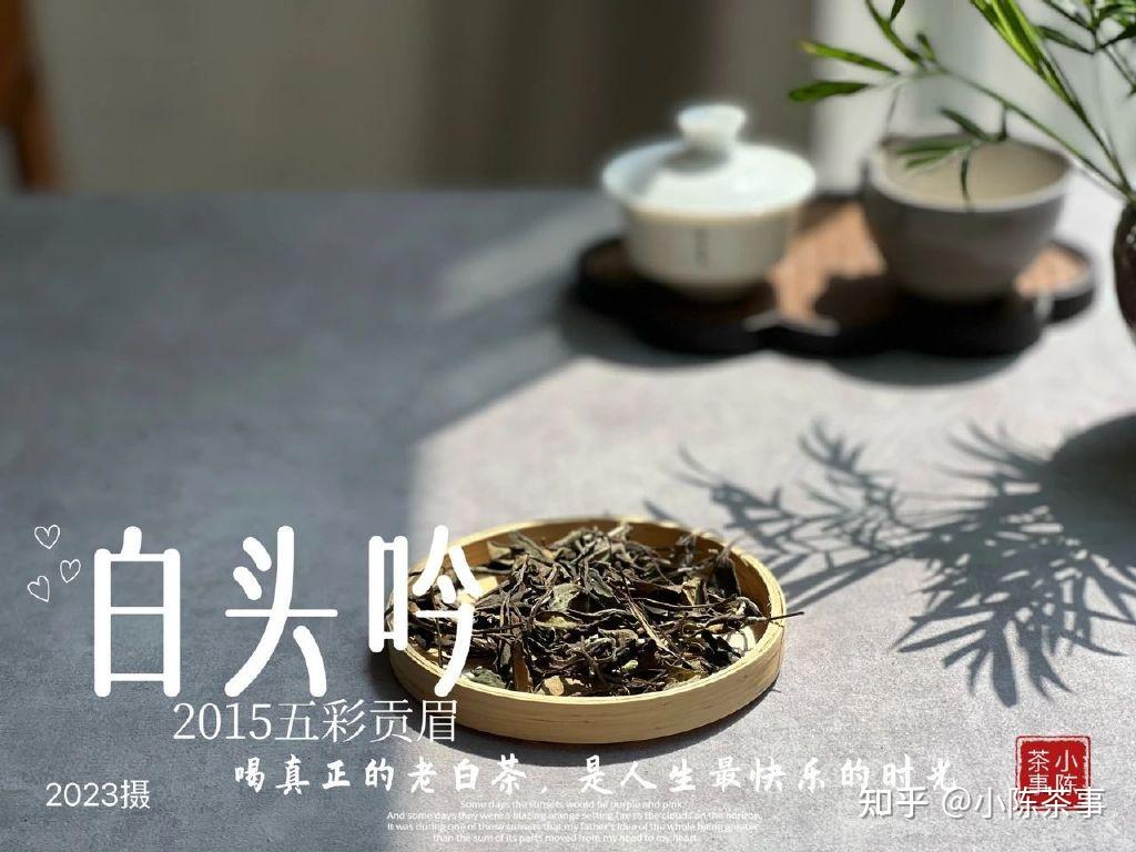 早上喝茶和晚上喝茶，有什么不同？聊聊不同时段喝茶的讲究 - 知乎