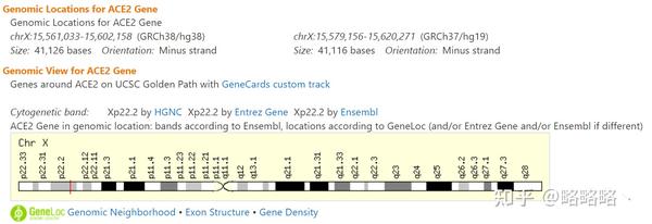 GeneCards数据库——强大的基因信息库 - 知乎