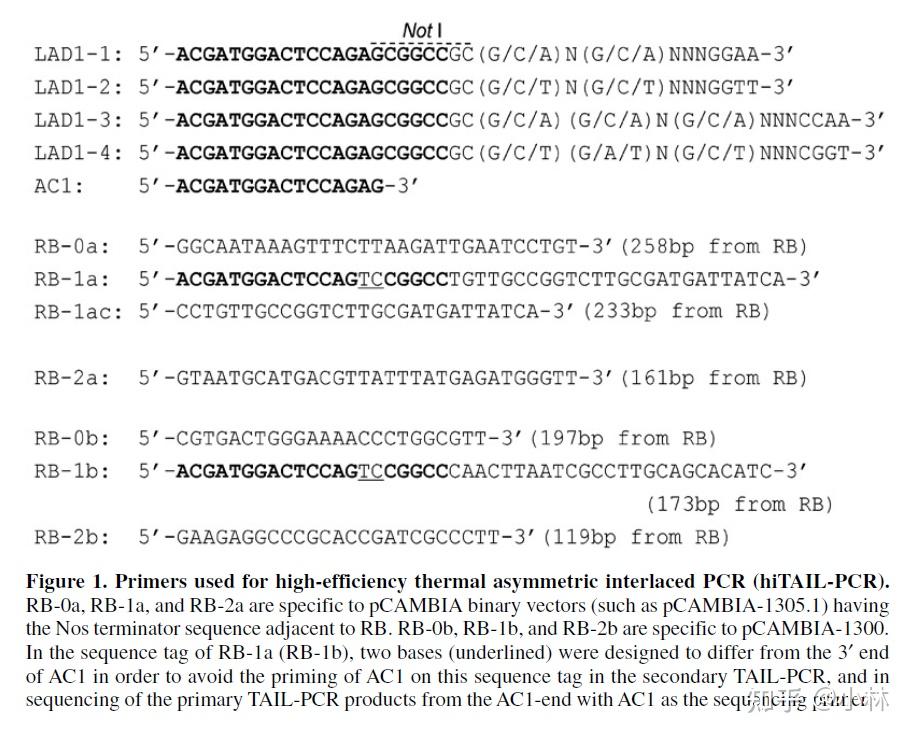 hiTail-PCR：利用PCR扩增未知侧翼序列 - 知乎