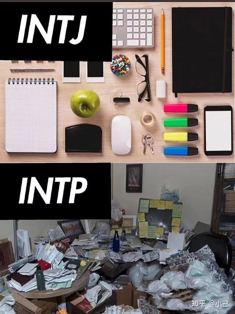 INTJ和INTP的区别 - 知乎