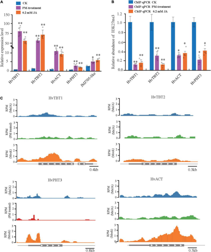 项目文章 | FRONT PLANT SCI&ChIP-seq助力揭示青稞对白粉病的抗性机制 - 知乎