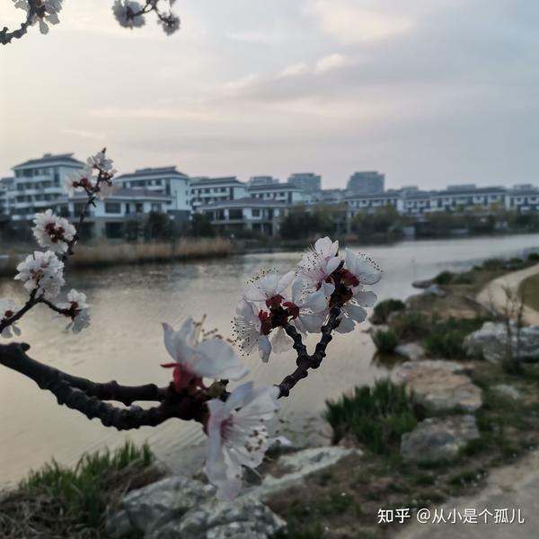 《一个人活着》 知乎