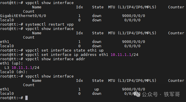 小白也能玩转VPP！Ubuntu 24.04使用APT极速部署VPP - 知乎